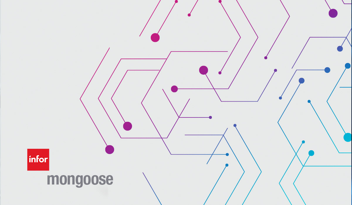 Customize Applications Efficiently with Infor Mongoose | Datix